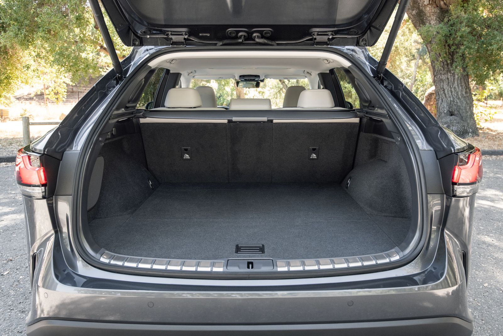 Lexus RX 450h+: just in time! - FLEET.be